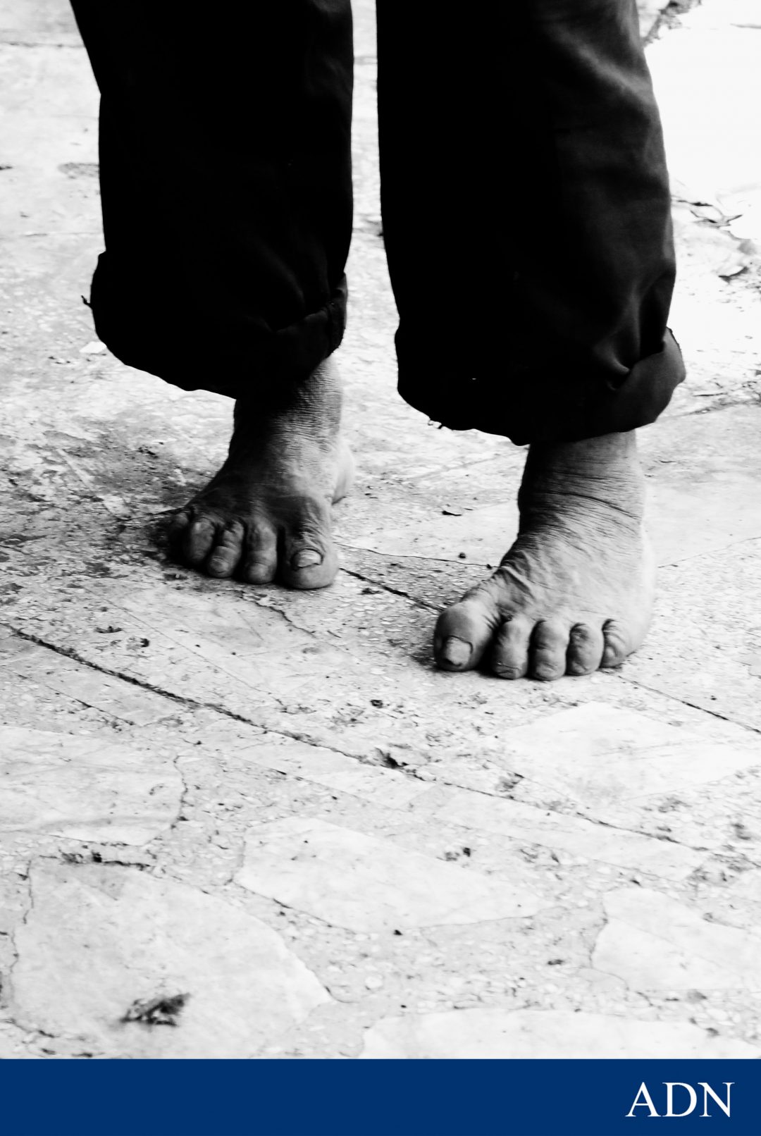 Día Mundial de la Fotografía - Al Día Noticias