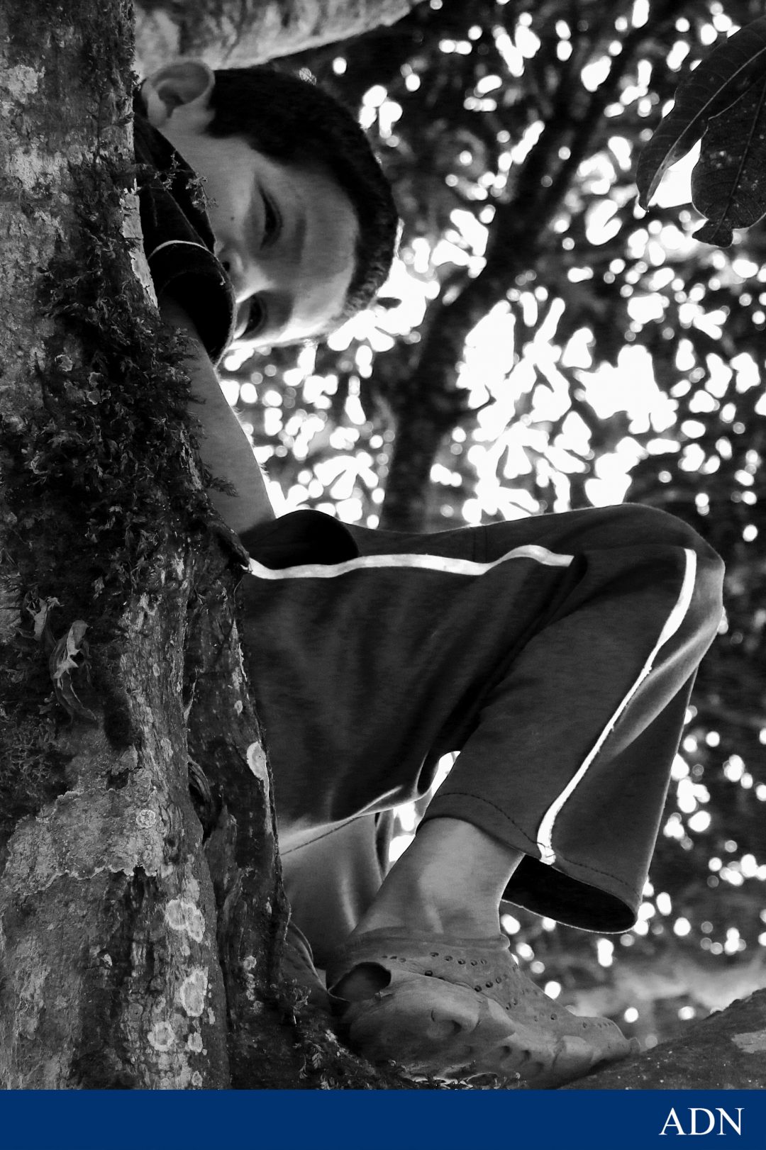 Día Mundial de la Fotografía - Al Día Noticias