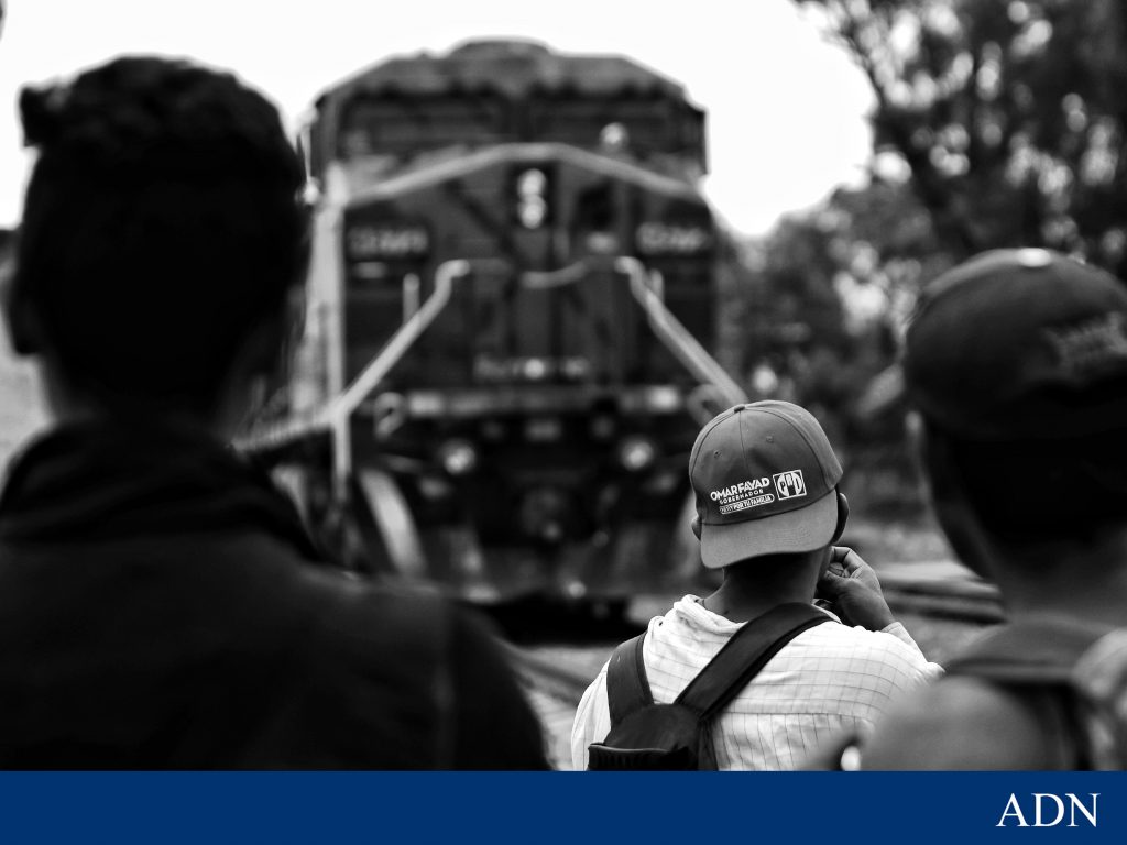 Día Mundial de la Fotografía - Al Día Noticias