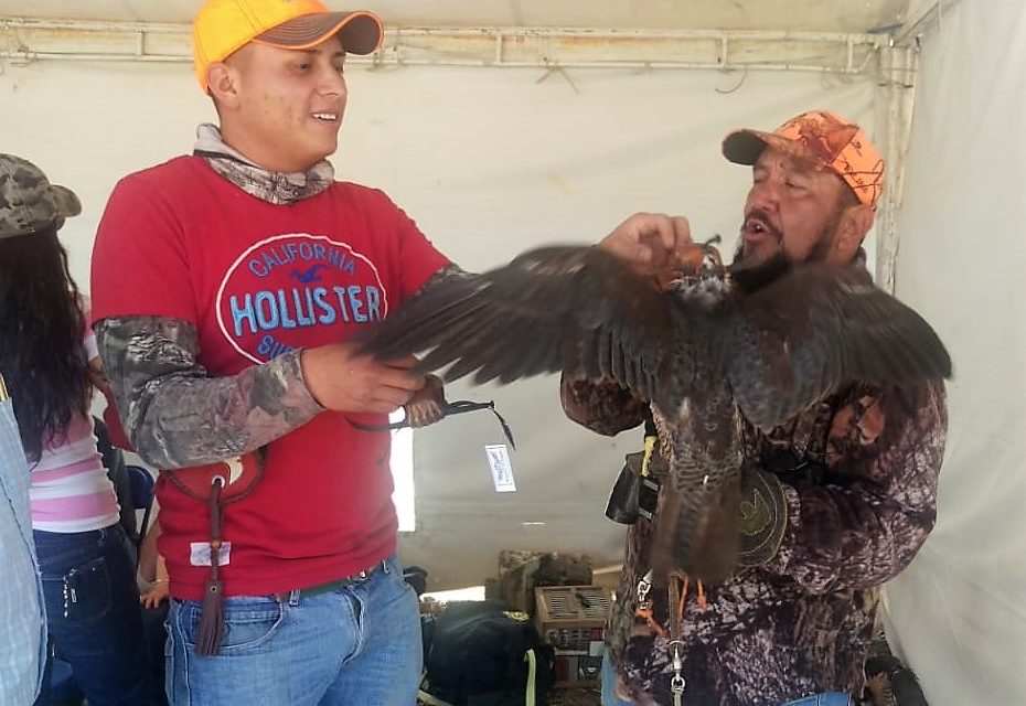 Tolcayuca sede del Encuentro Nacional de Altanería por sexta ocasión ...